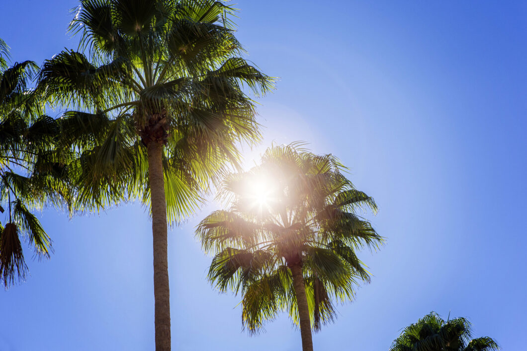 Your Guide to Disney World Weather - Villatel