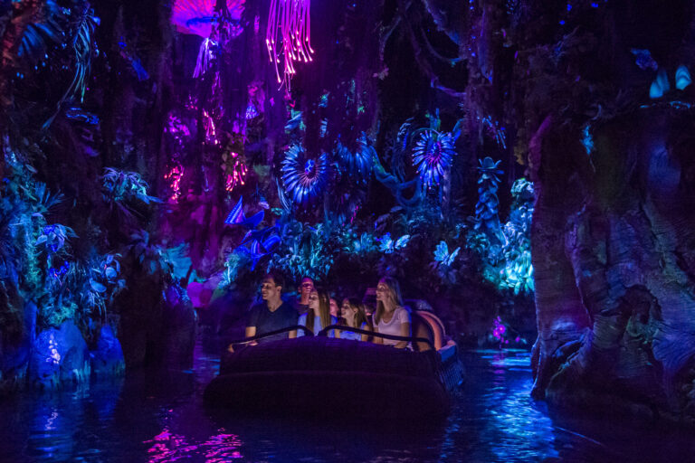 Things To Do At Disney In Night - Villatel